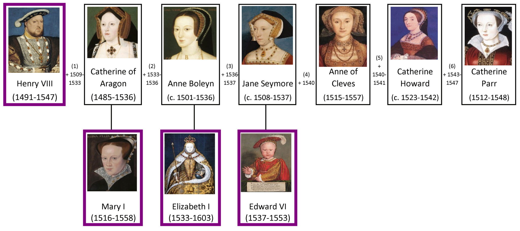KING HENRY VIII | BG LIFE UK
