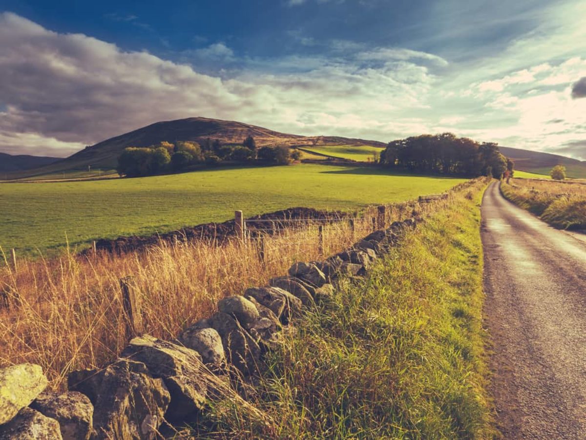 THE ENGLISH COUNTRYSIDE | BG LIFE UK